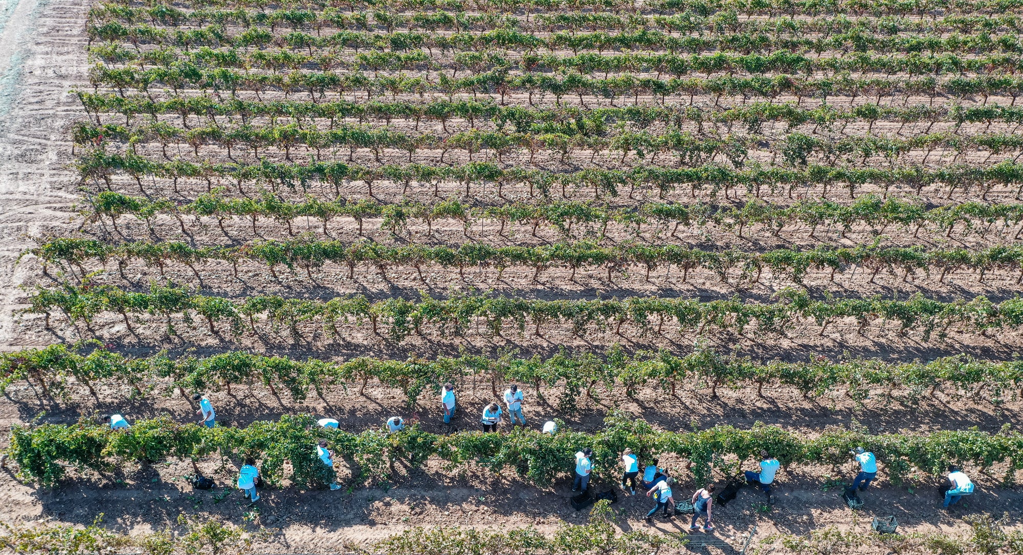 Bodegas Antonio Serrano